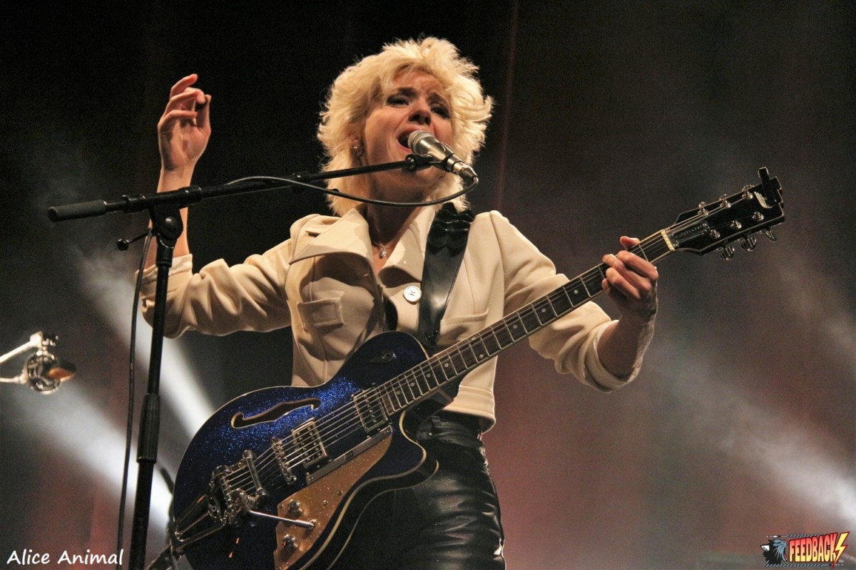 Alice Animal - Nouvel album "Tandem" - Sortie le 28 mai 2021 - FeedBack ...